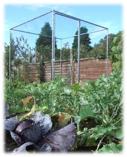 Cherry Tree Cage